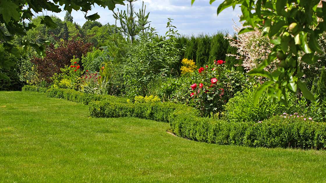 Gartengestaltung | Unser grünes Zuhause